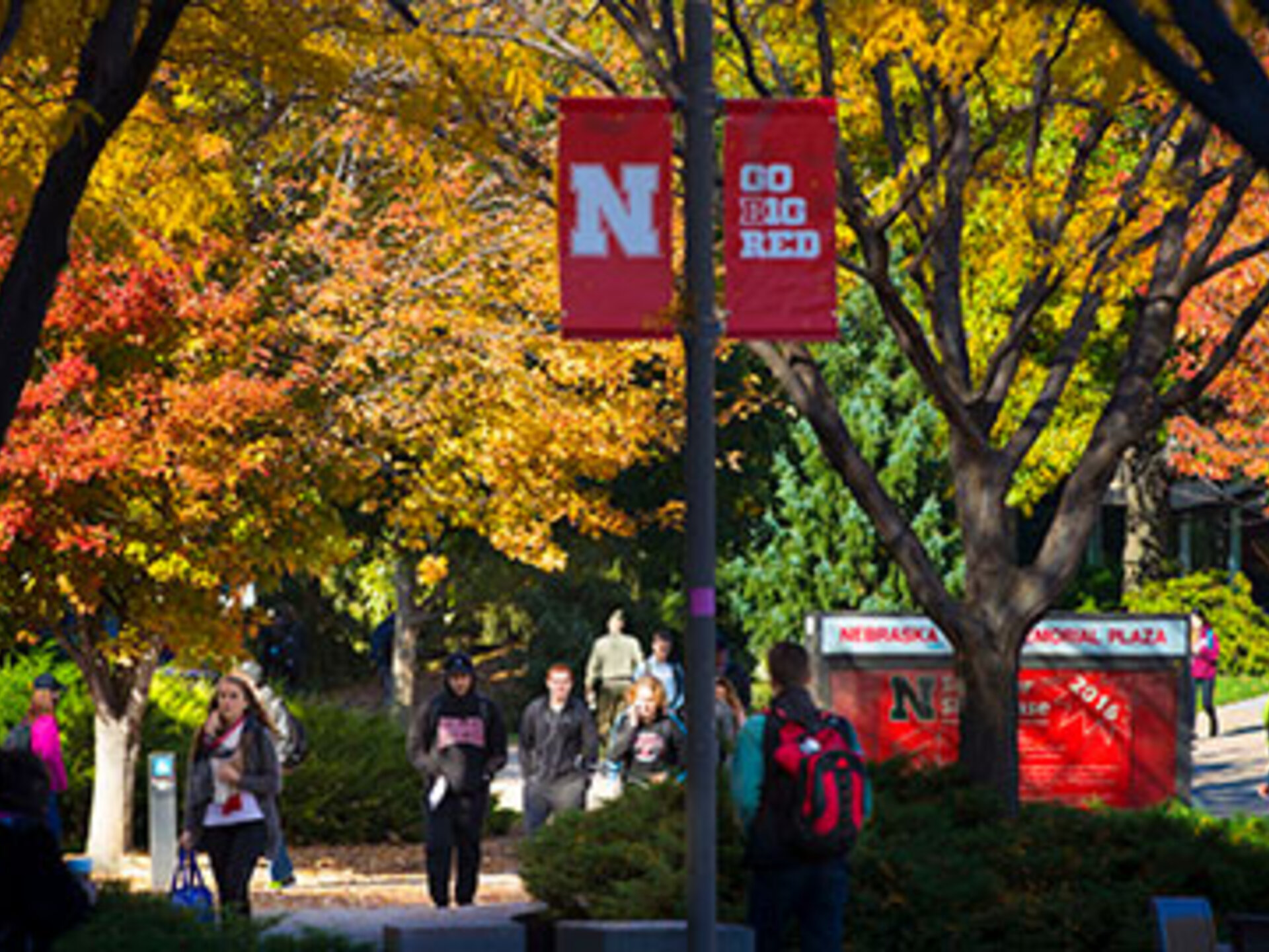 Employment | Electrical & Computer Engineering | College of Engineering ...