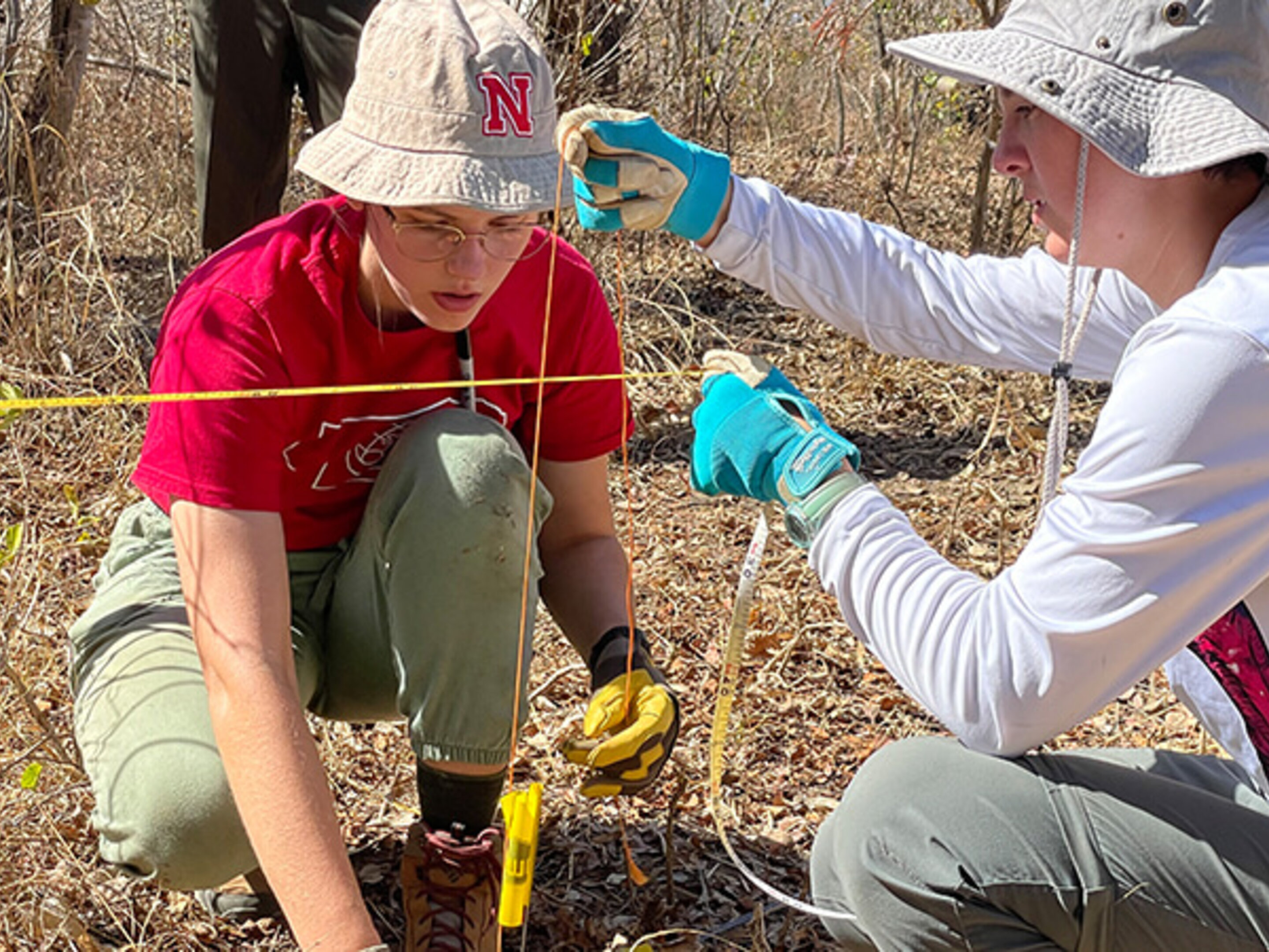 B.S. in Electrical Engineering | Electrical & Computer Engineering ...